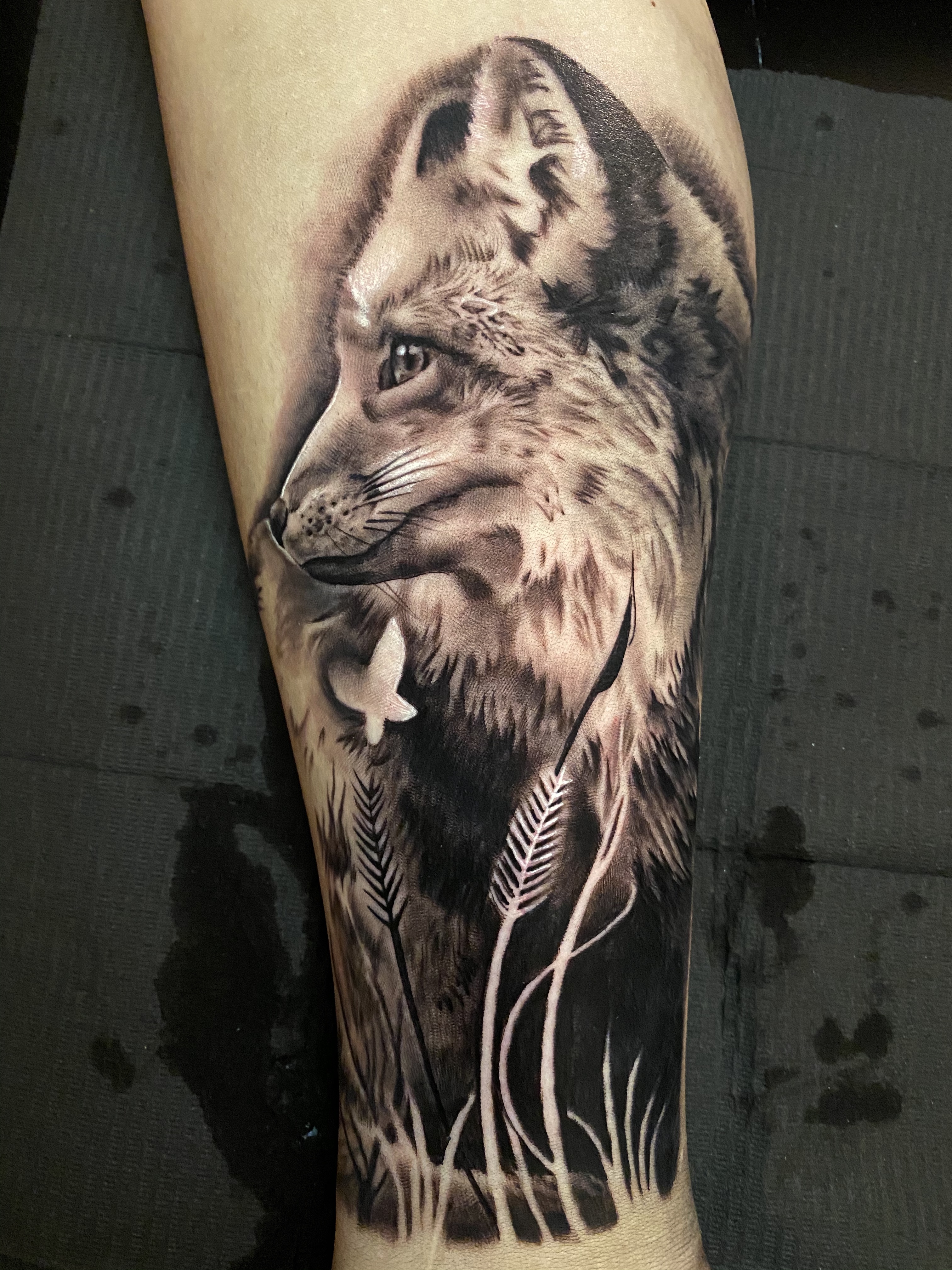Timmy Do RIght - Grade A Tattoos - Fort Wayne Indiana